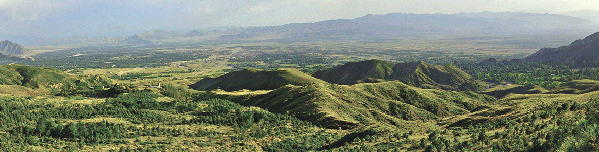 MADA-MAKAY - MSH SUD